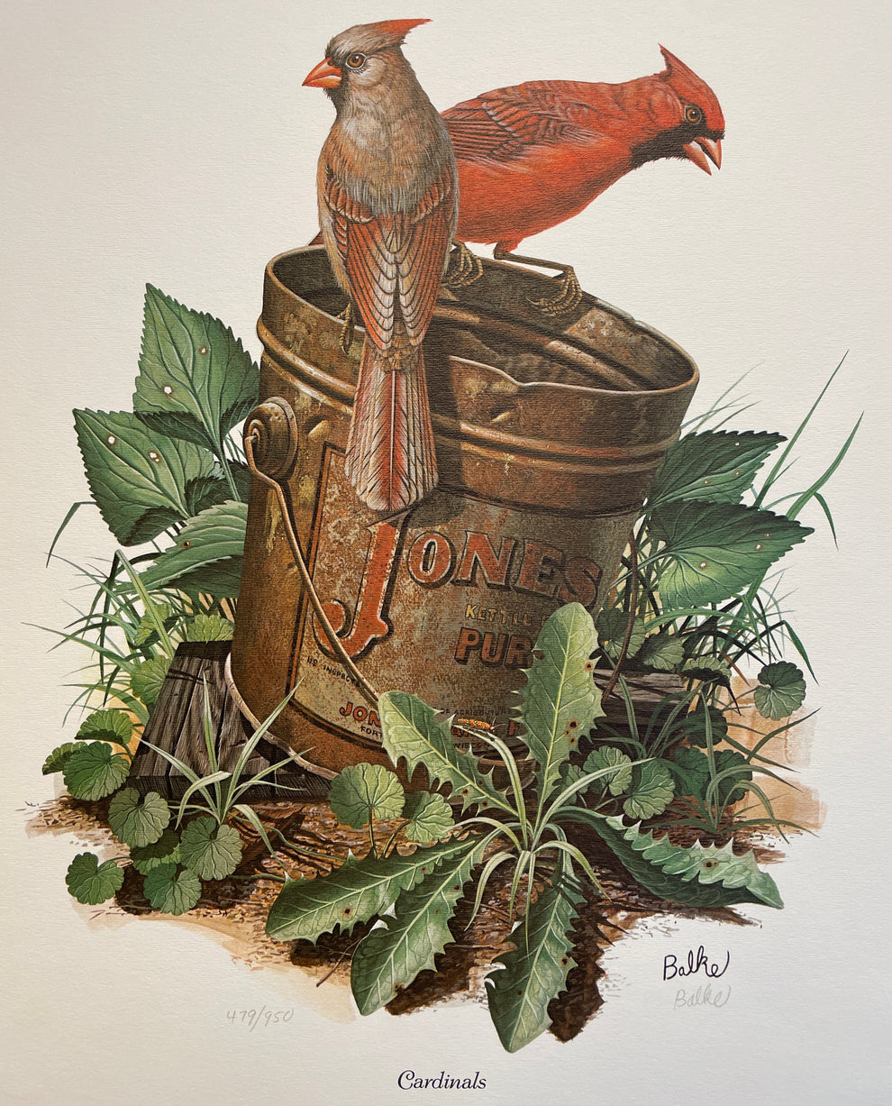 Cardinals – Biscarr Fine Art & Frames